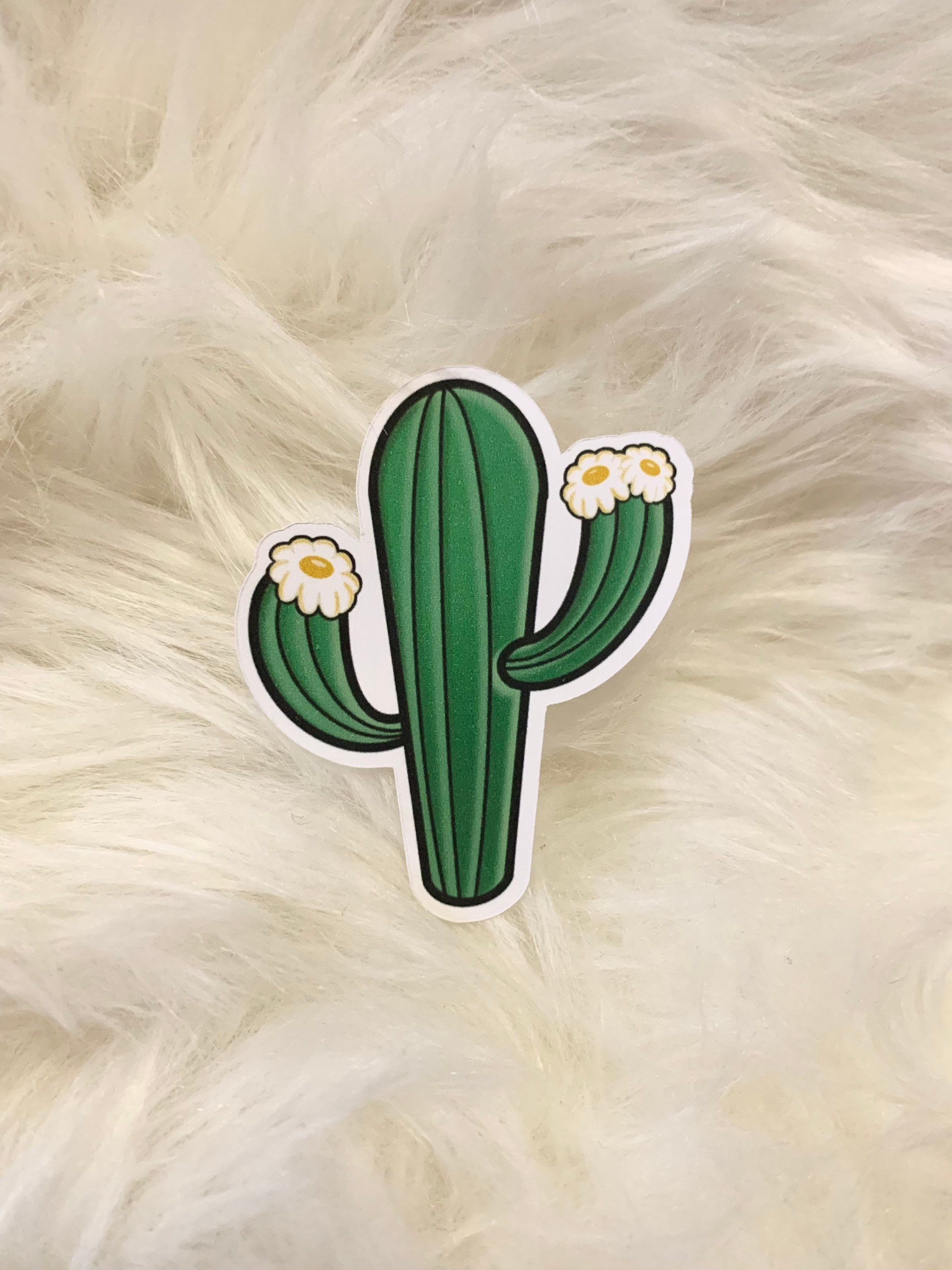 Cactus Sticker Pack - Etsy