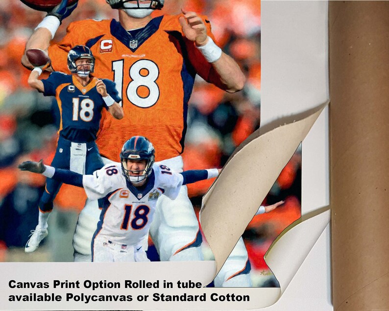 Peyton Manning Denver Broncos NFL Football QB Quarterback Art 1AM3 8x10 ...