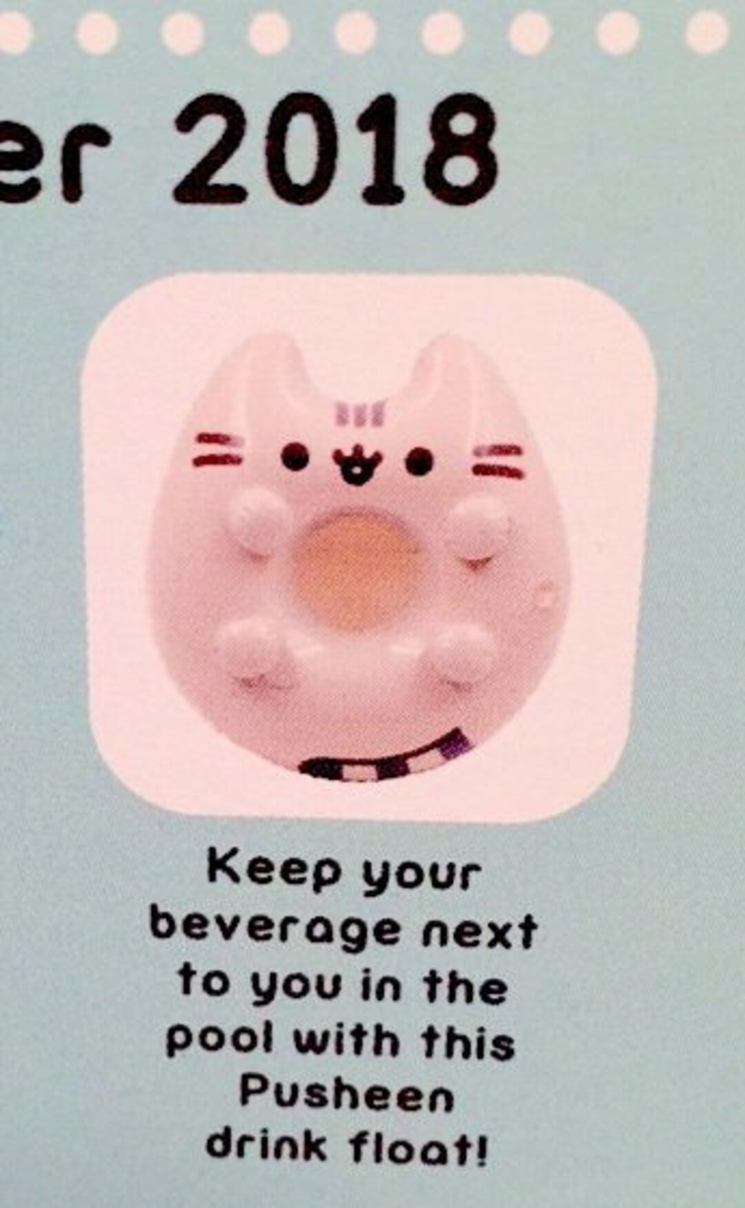 Pusheen Inflatable Beverage Float - Etsy