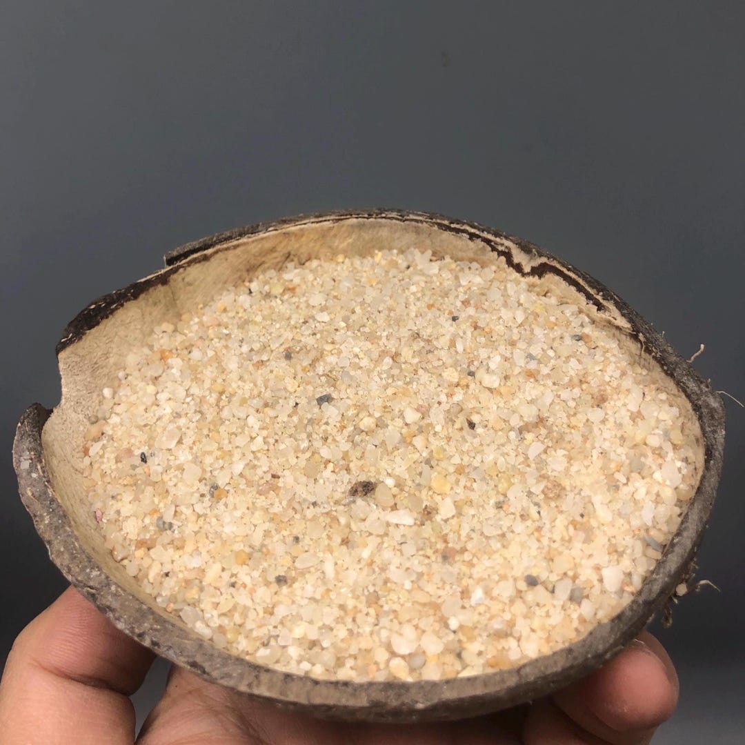 1lb 16oz Large-grain Silica Sand for Carnivorous Plants - Etsy