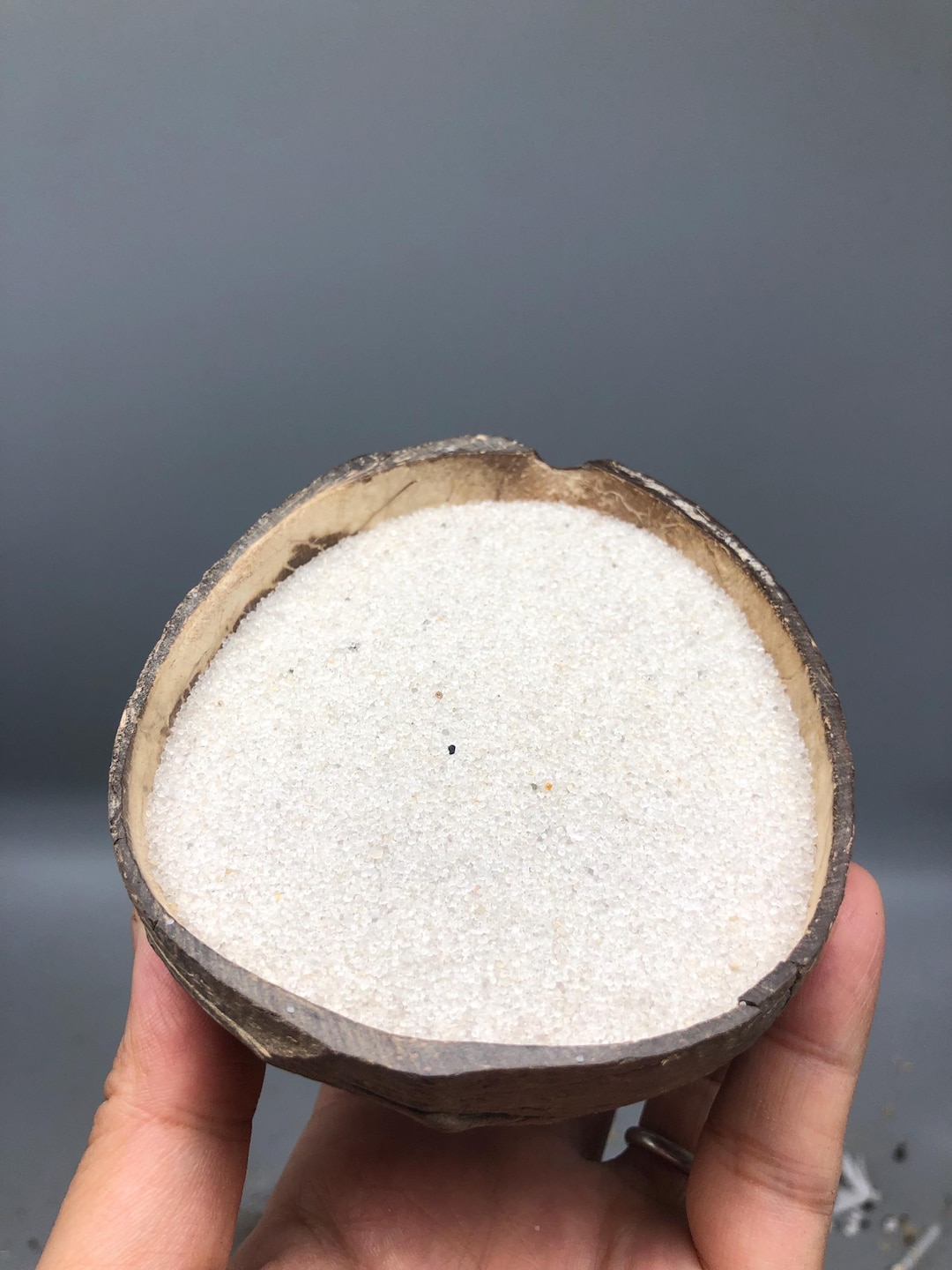 1lb (16oz) Fine Grain Silica Sand for Carnivorous Plants - Etsy