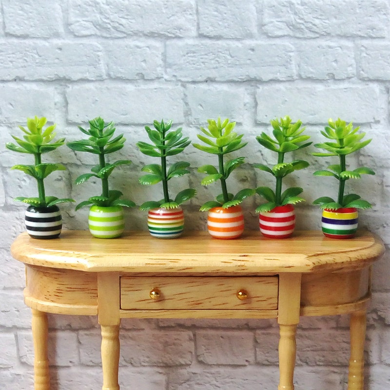 Miniature Plants - Etsy