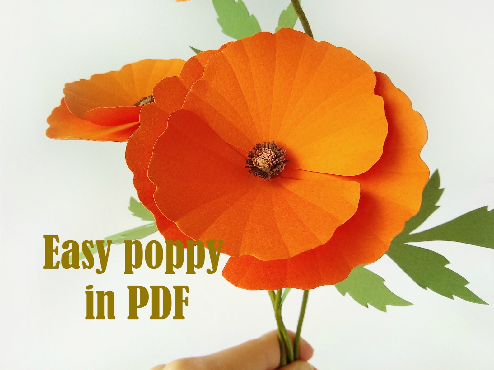 Easy paper flower tutorial Poppy flower template Poppy decor | Etsy