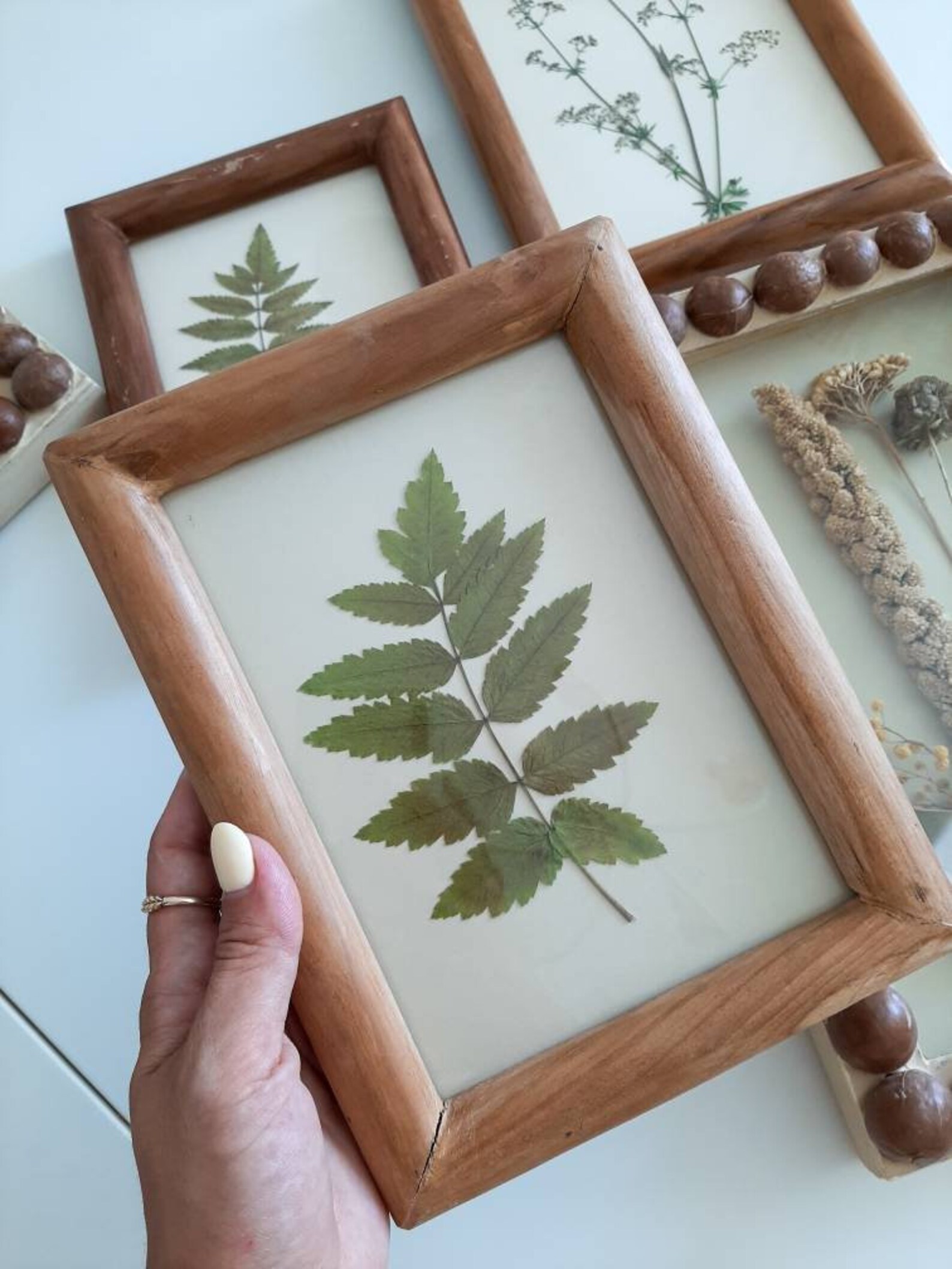 Framed herbarium art/Pressed plants wall decor/Real leaves | Etsy