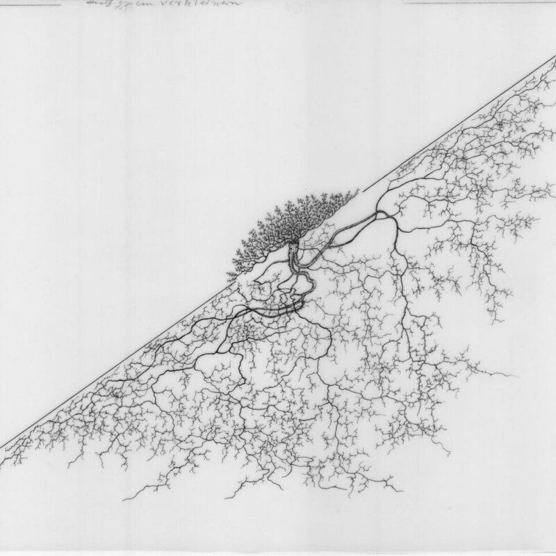 Root Art - Etsy