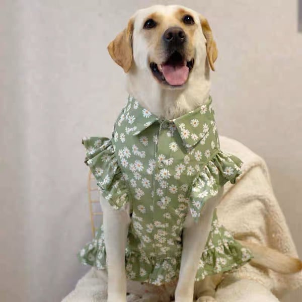 Dog Dresses for Golden Retriever - Etsy