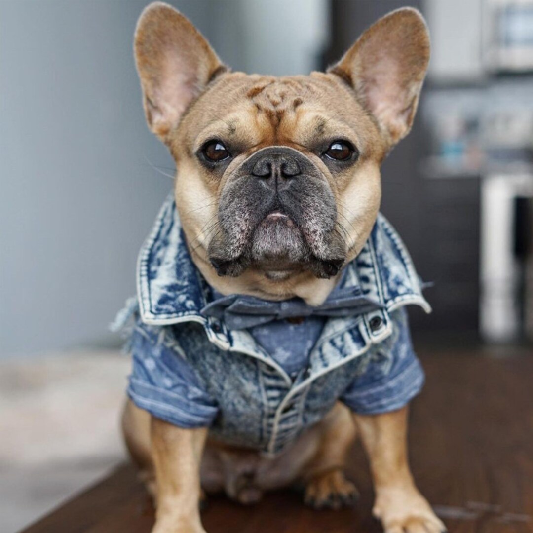 Denim Dog Cowboy Pet Dog Clothes Fashion Puppy Coat Clothing for French ...