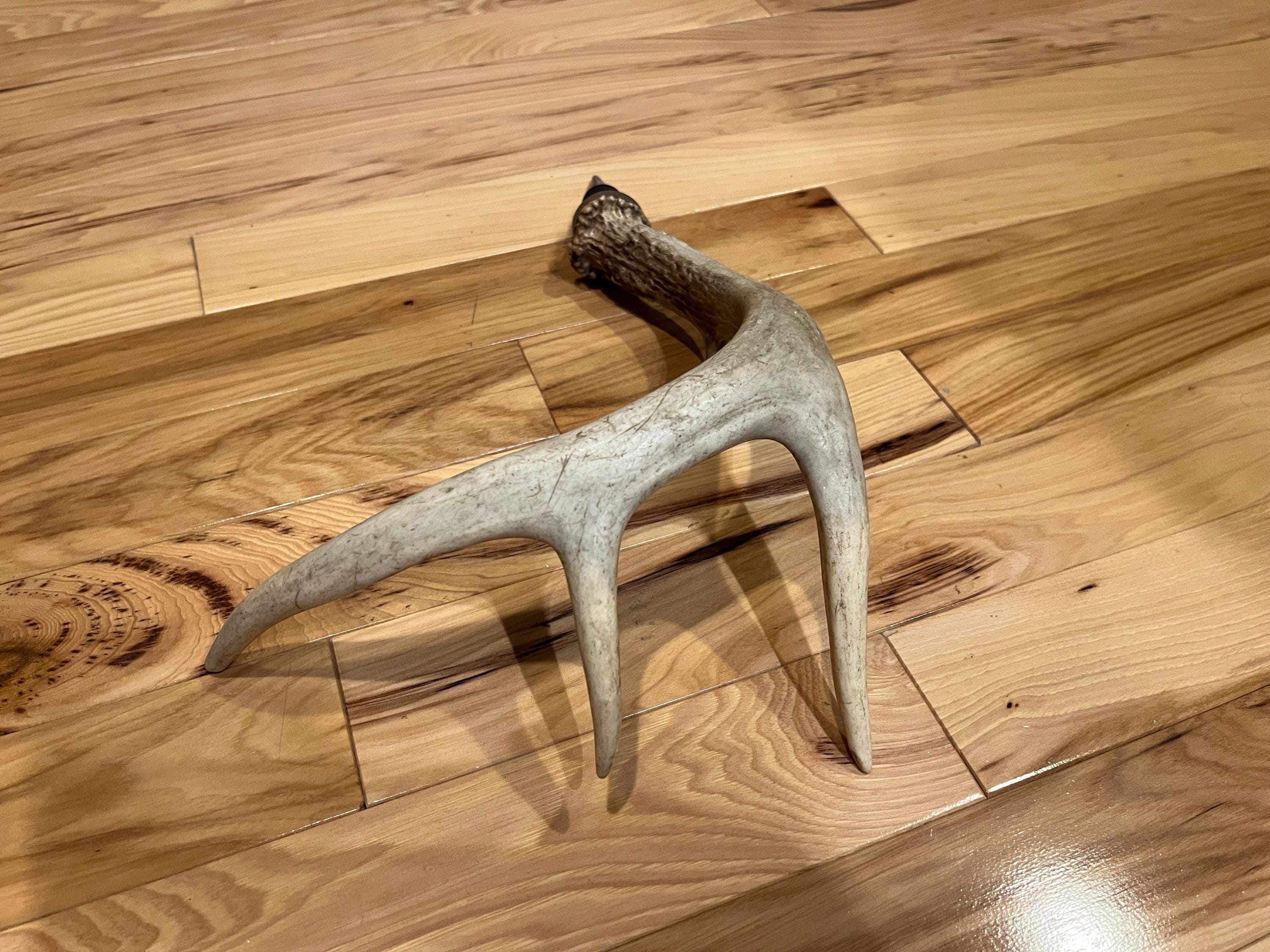 Homemade Antler Wine Olive Oil Bottle Stopper Stainless Steel - Etsy
