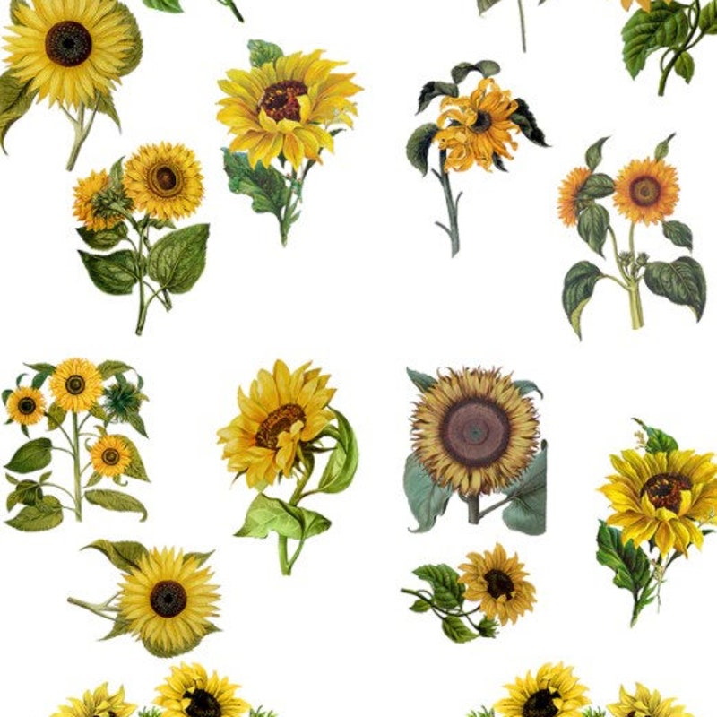 Sunflower Rub on Transfer - Etsy