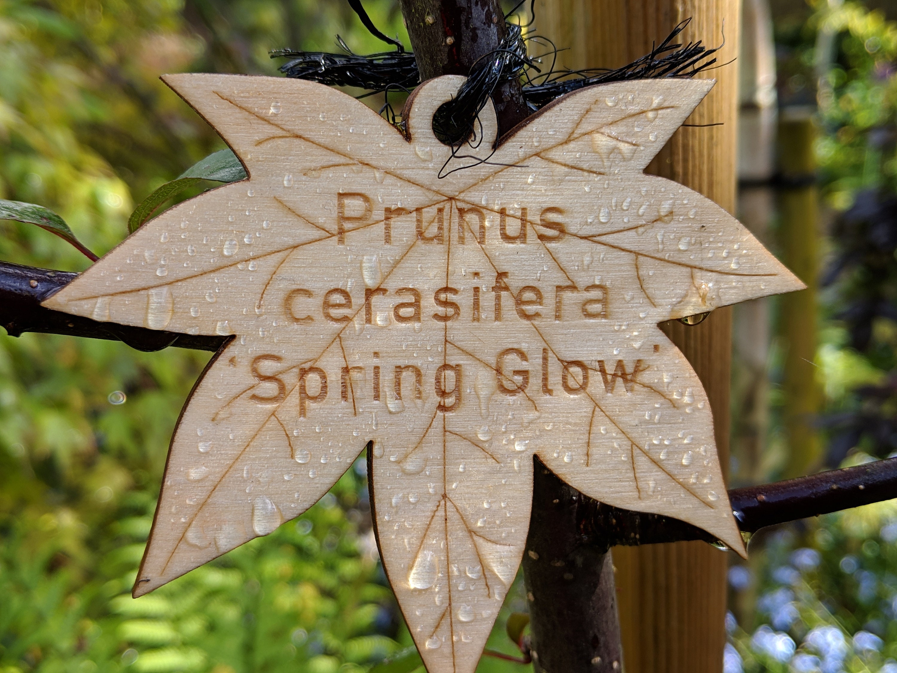 Tree & Plant Marker Wooden Customised - Etsy