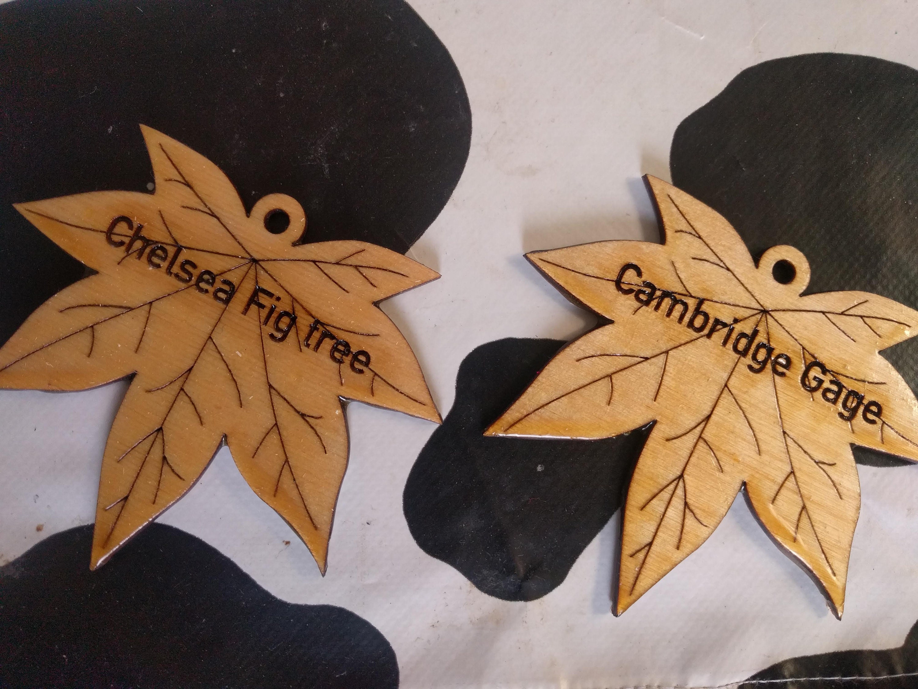 Tree & Plant Marker Wooden Customised - Etsy