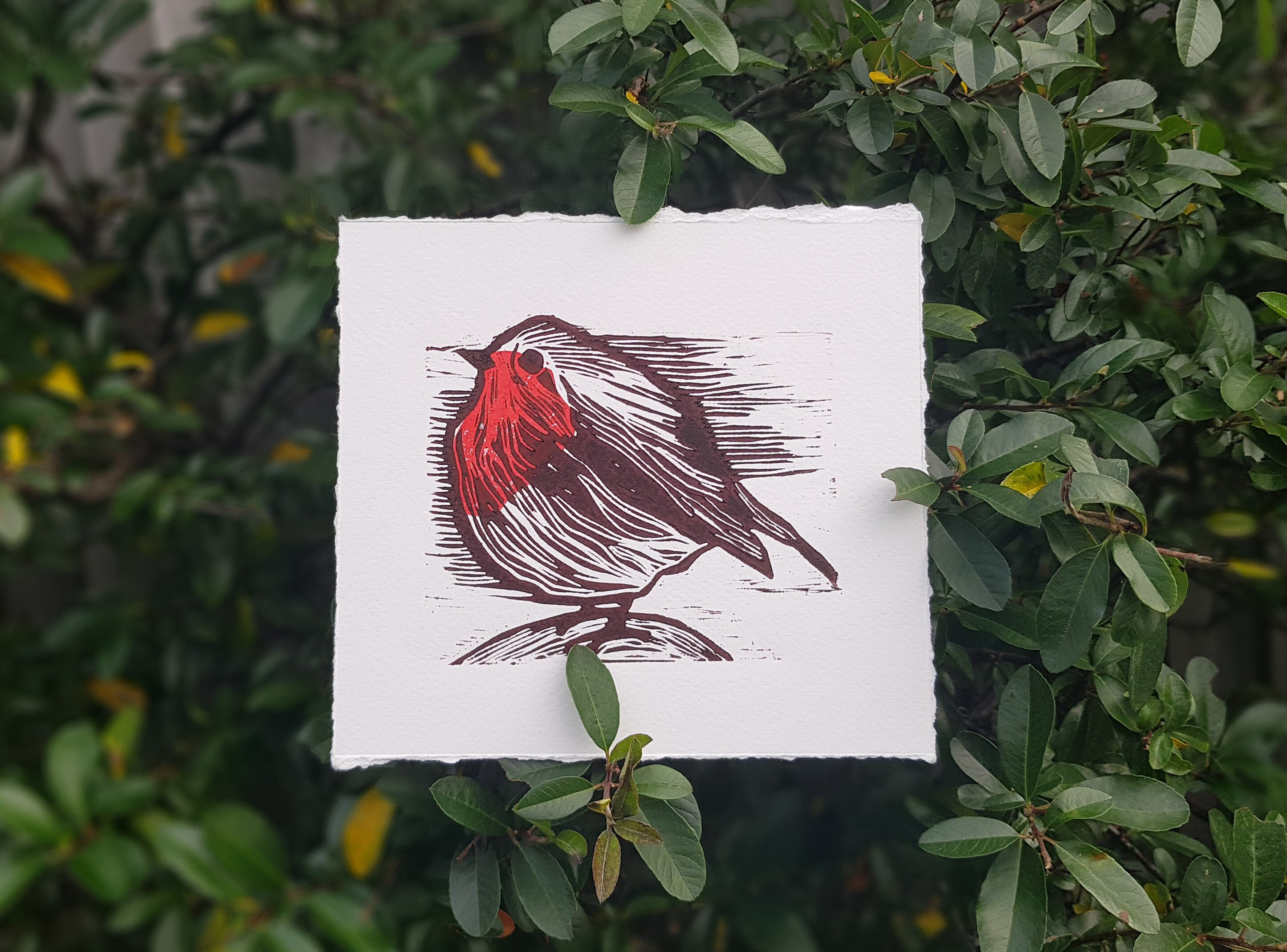 Robin Lino Print Lino Art Lino Print Linocut Art Robin | Etsy