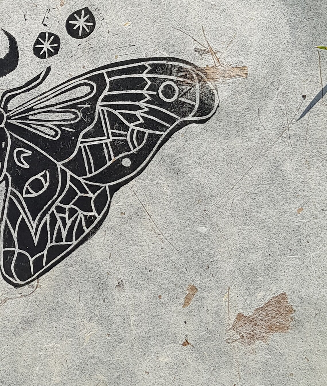 Goth Moth Lino Print, Block Print, Handprinted Art, Relief Print ...