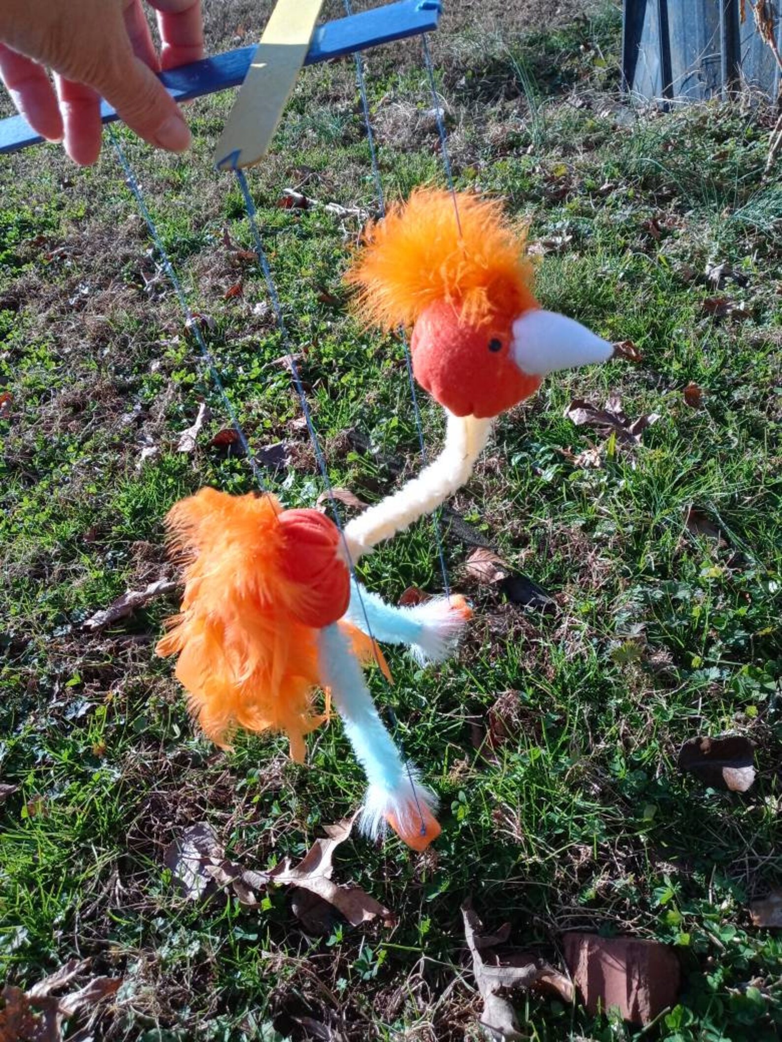 Walking Bird Puppets. These Birds Bring Hours of Fun and Entertainment ...