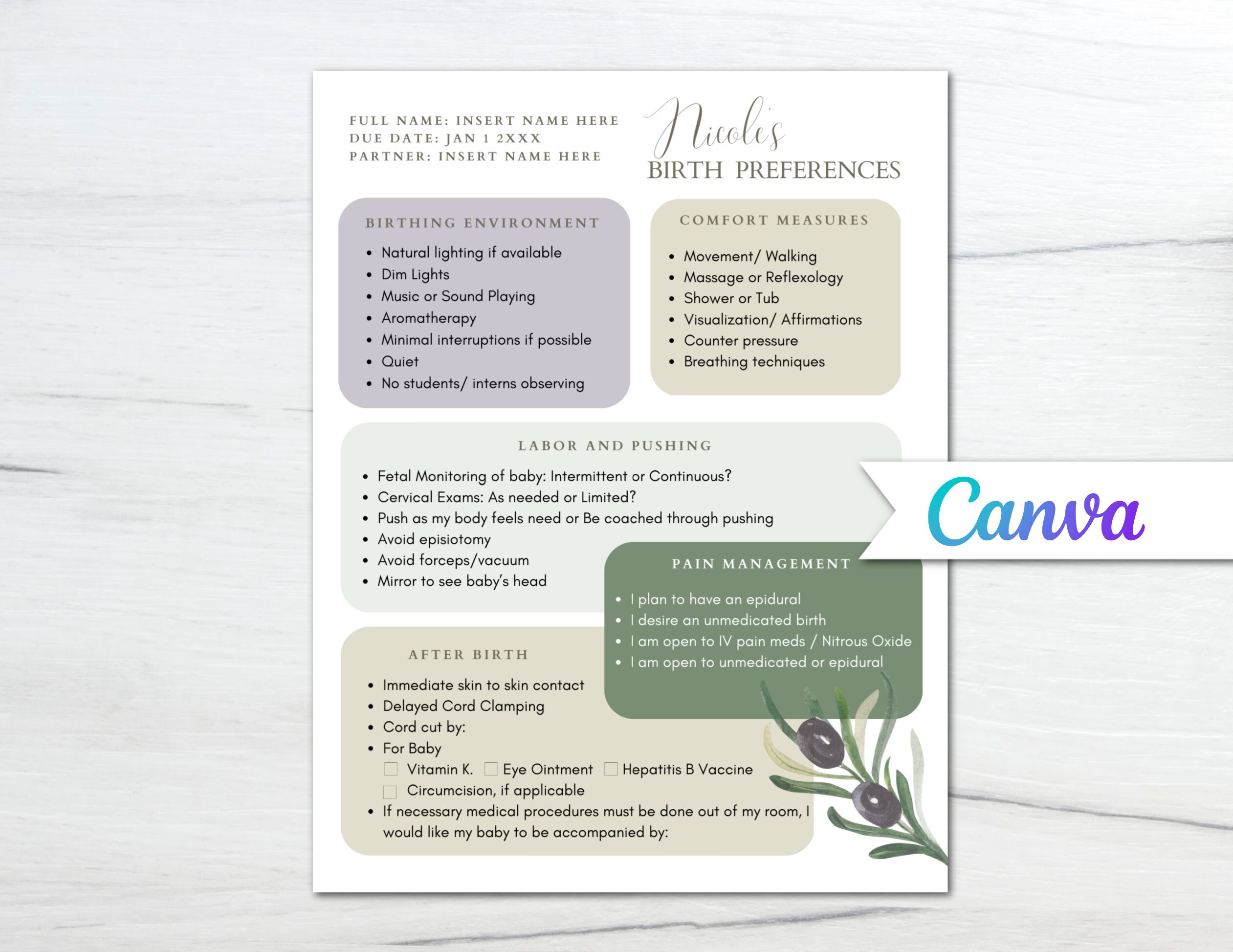 Birth Preference/ Neutral Birth Plan Template/ Editable Birth Plan ...