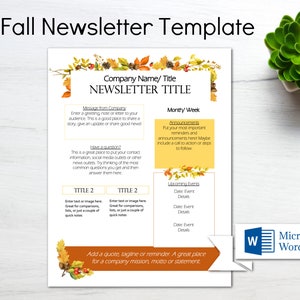 Editable Newsletter Template/ MS Word Newsletter Template/ Business ...