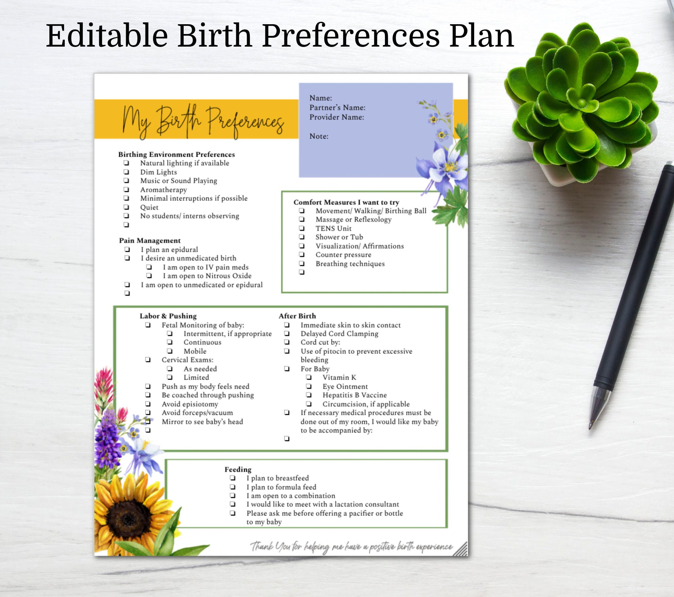Birth Preference/ Birth Plan Template/ Editable Birth Plan/ Printable ...