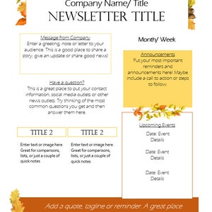 Editable Newsletter Template/ MS Word Newsletter Template/ Business ...