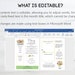 Monthly Newsletter Templates/ Full Year Newsletter Template - Etsy