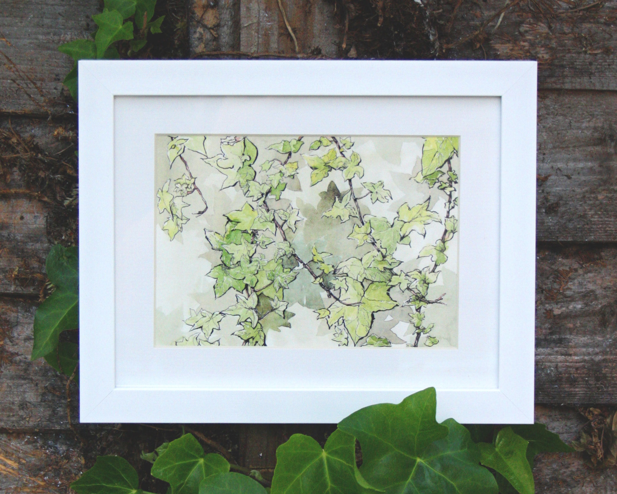 English Ivy Watercolour / Vine Plant / Home and Garden Decor / Plant ...
