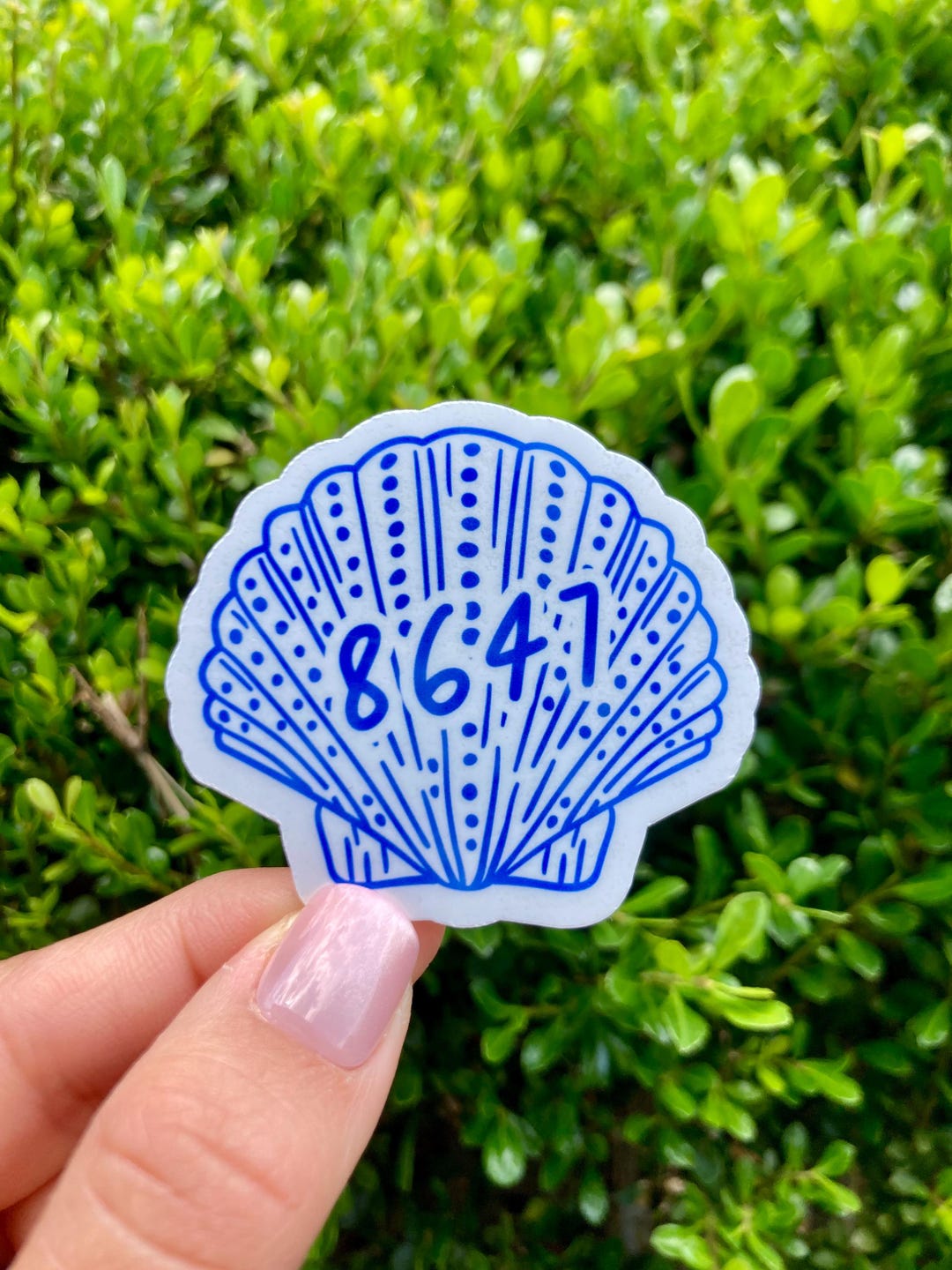 8647 Sea Shell Sticker | Subtle Anti-trump Gift - Etsy