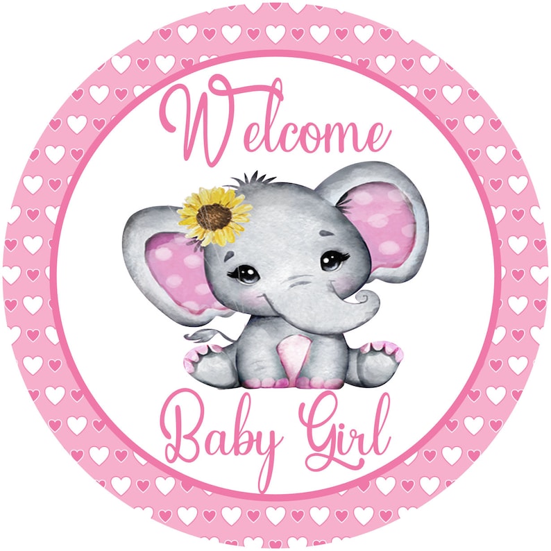 Welcome Baby Girl Sign Baby Girl Sign Birth Announcement - Etsy