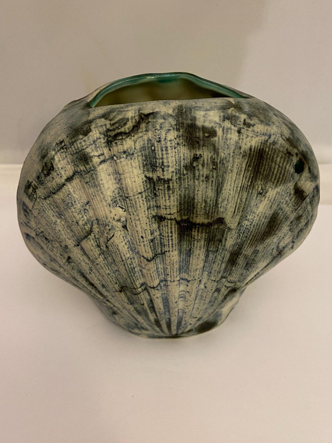 Carn Pottery Scallop Shell Vase - Etsy