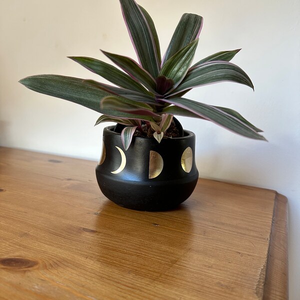 Moon Plant Pot - Etsy