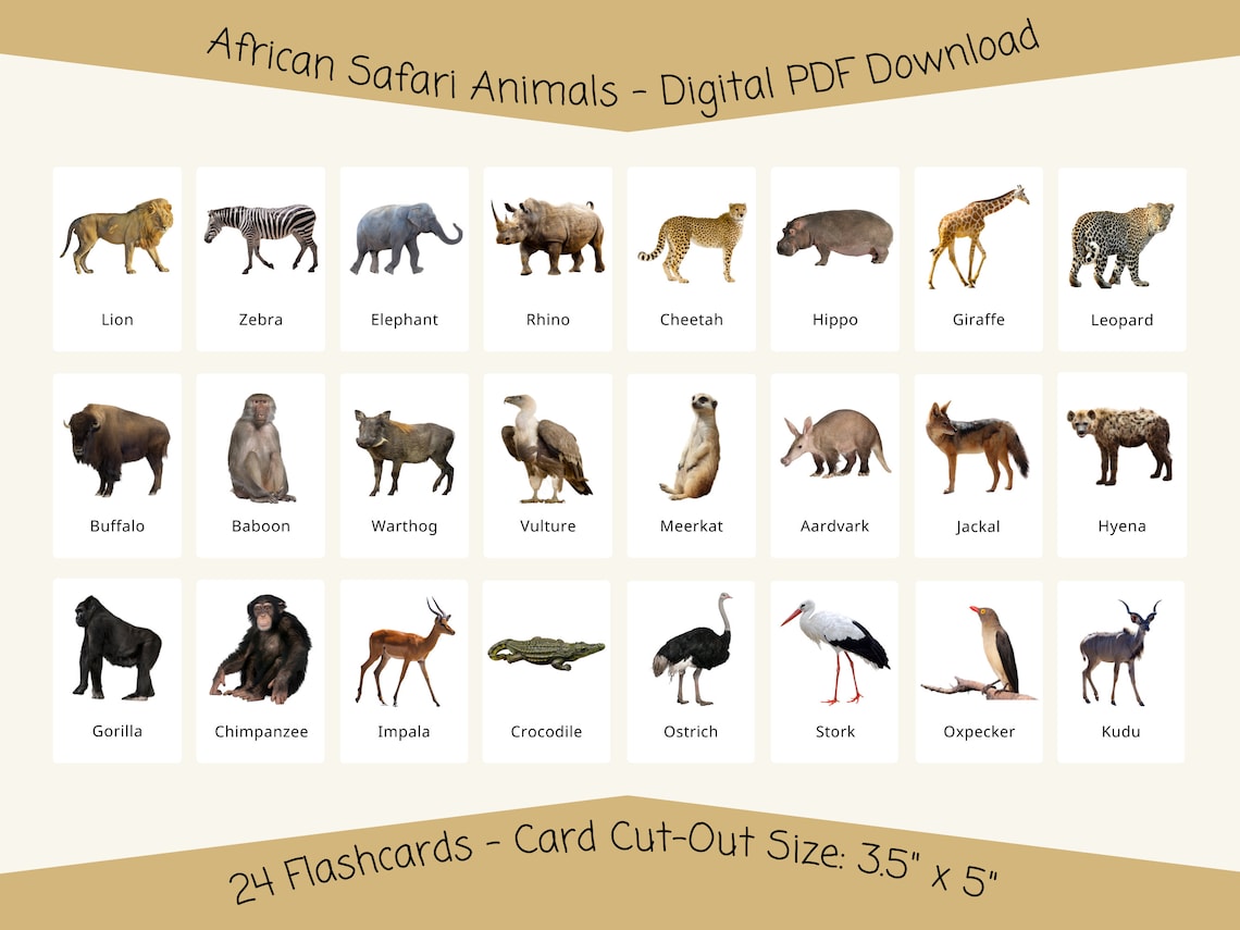 24 African Safari Animal Flashcards for Toddlers Preschool Montessori ...