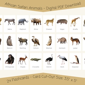 24 African Safari Animal Flashcards for Toddlers Preschool Montessori ...