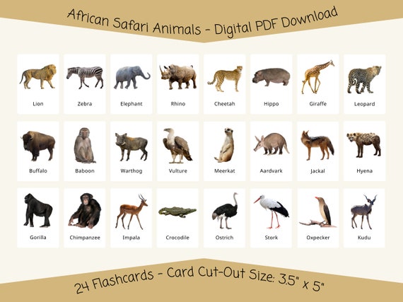 24 African Safari Animal Flashcards for Toddlers Preschool - Etsy