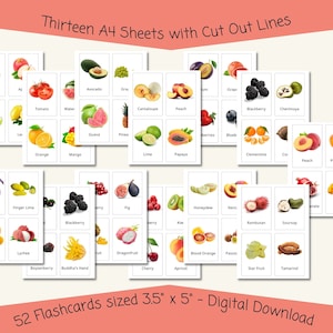 52 Fruit Flashcards for Toddlers Preschool Montessori Learning ...