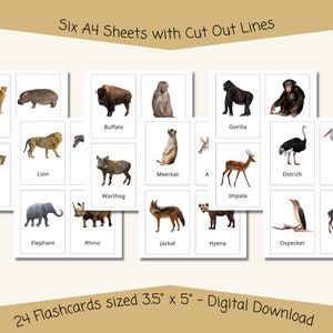 24 African Safari Animal Flashcards for Toddlers Preschool Montessori ...
