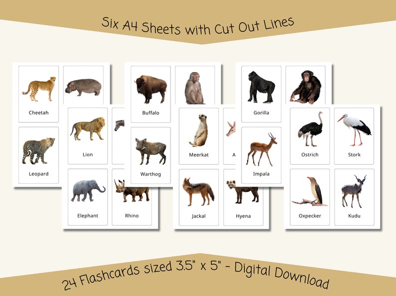 24 African Safari Animal Flashcards for Toddlers Preschool Montessori ...