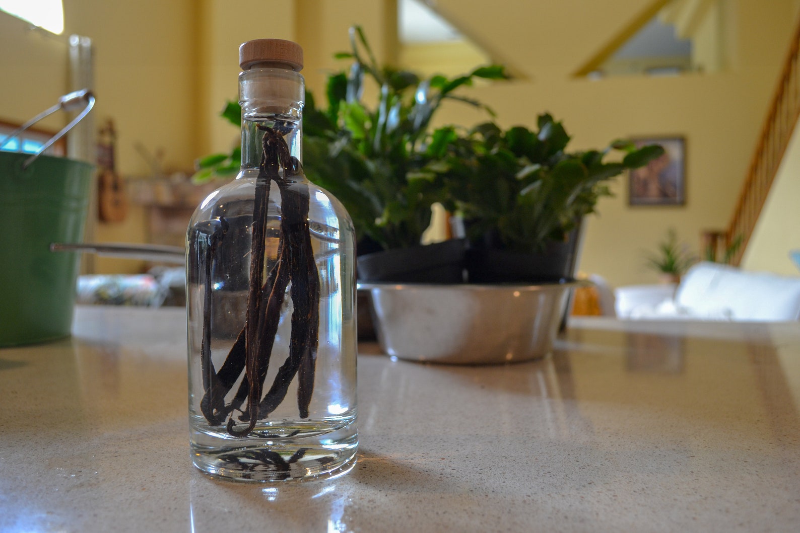 Homemade Vanilla Extract Kit Native Vanilla - Etsy