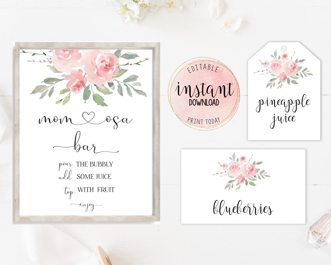 Mom-osa Bar Set, Printable Pink Floral Momosa Bar Sign, Juice Tags ...