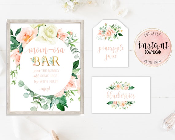 Mom-osa Bar Set Printable Momosa Bar Sign Juice Tags Fruit | Etsy