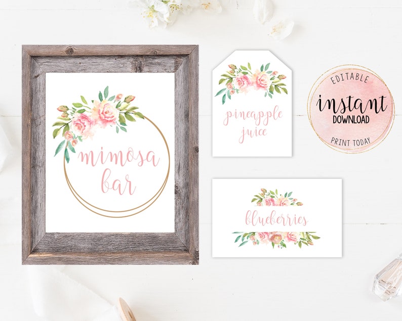 Mimosa Bar Set Printable Mimosa Bar Sign Juice Tags Fruit - Etsy
