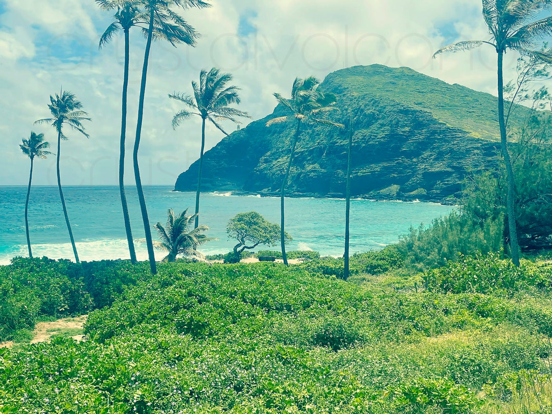 Oahu Landscape Photo | Makapu'u Beach | Tropical Beach Art Print ...