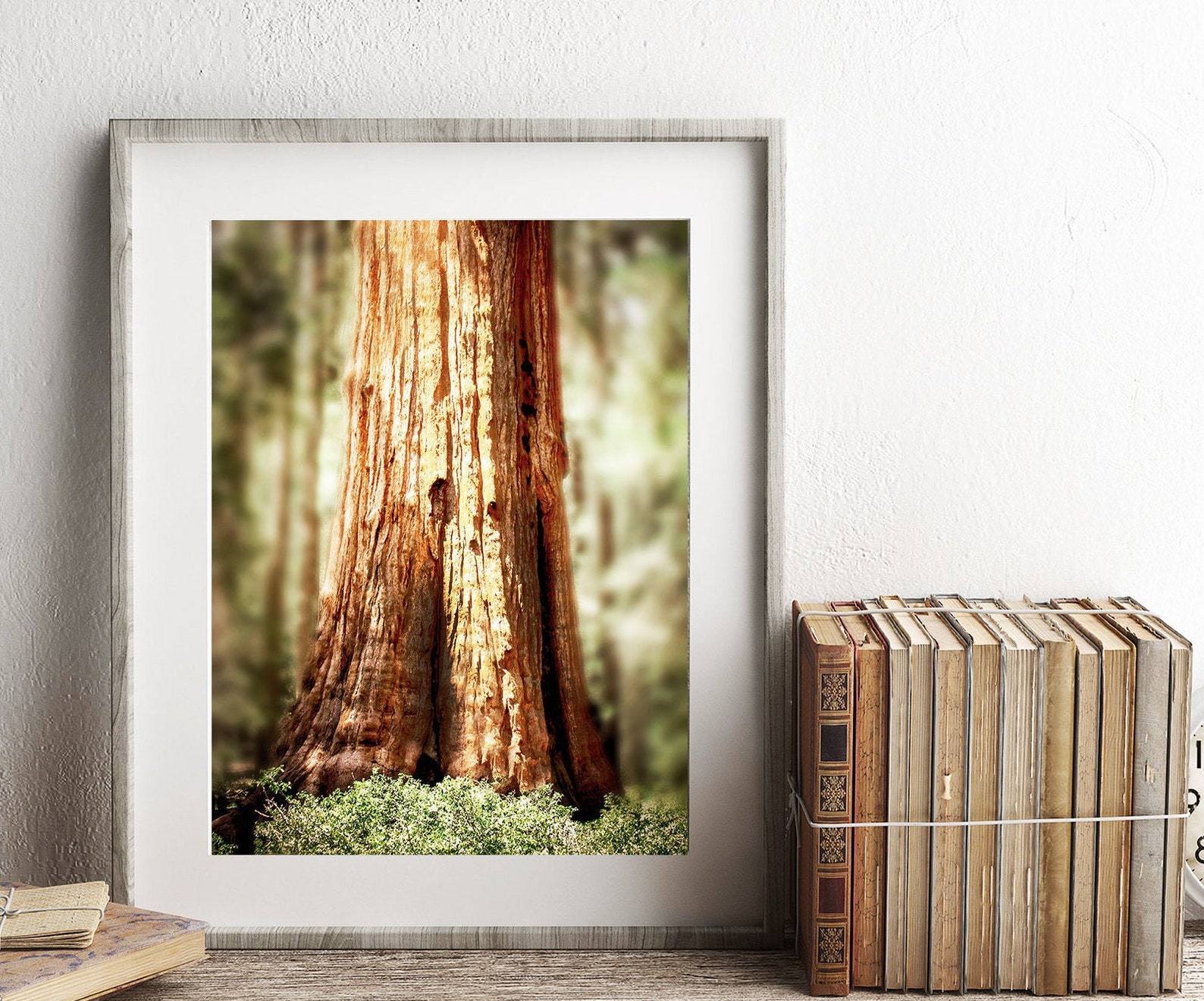 Giant Sequoia Tree Photograph | Large Redwood Tree Print | Forest Wall ...