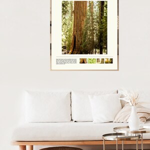 Sequoia National Park Poster Sequoia Tree Poster Sequoia - Etsy