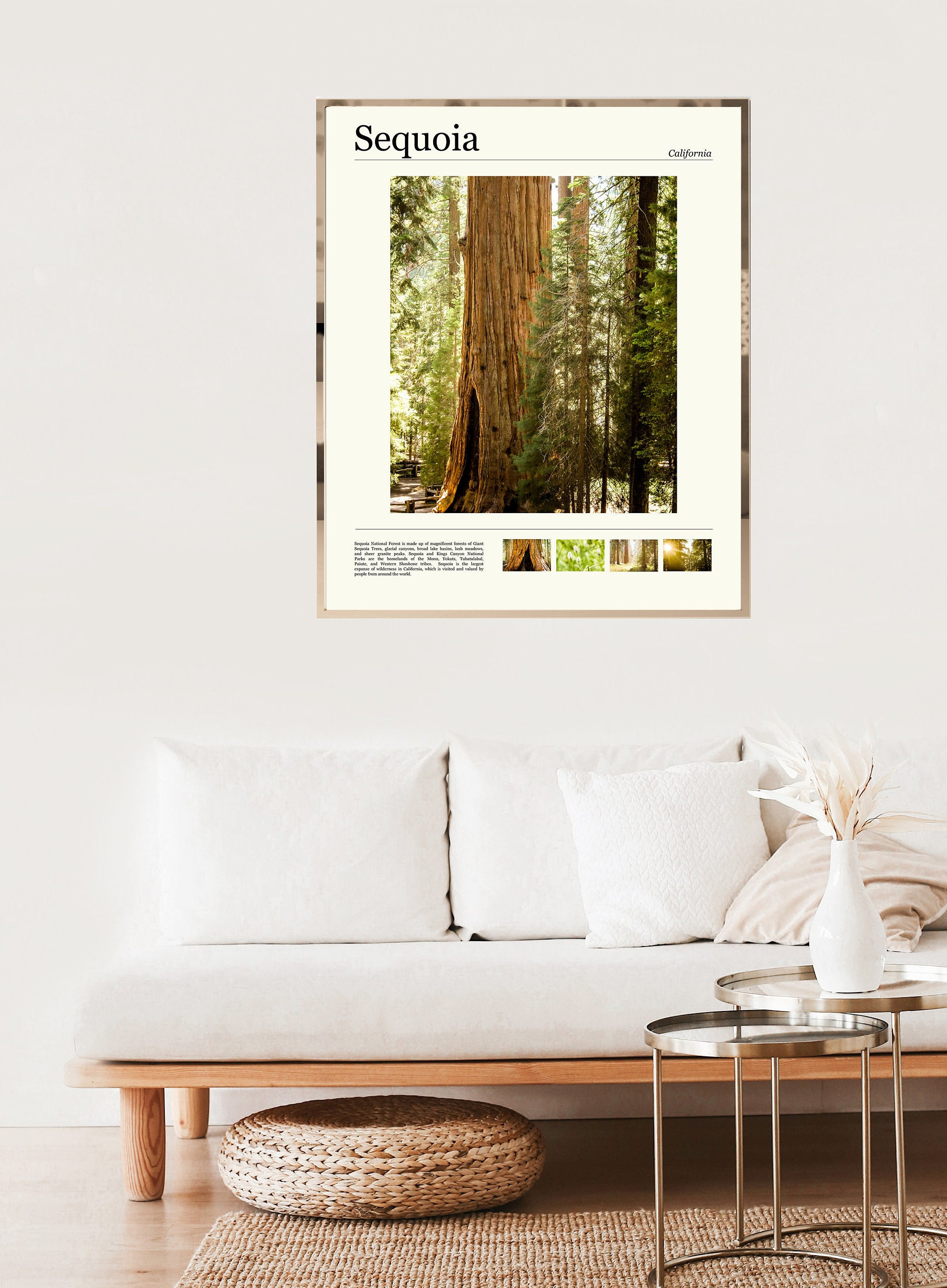 Sequoia National Park Poster Sequoia Tree Poster Sequoia - Etsy