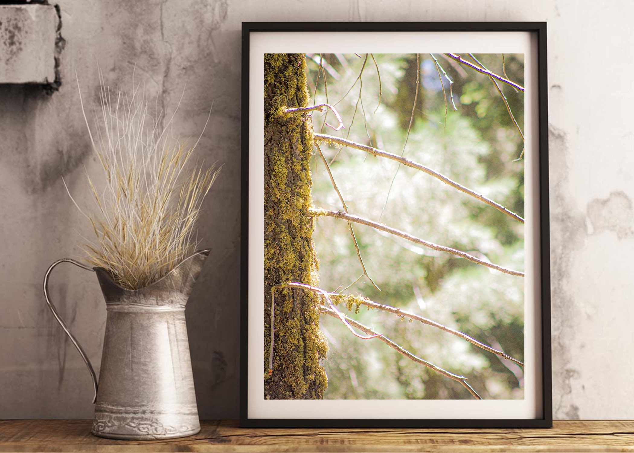 Pine Tree Fine Art Print Forest Photography Mountain | Etsy