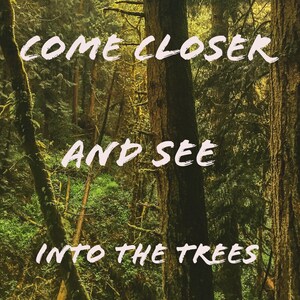 THE CURE Music Lyrics Print, A Forest Song Lyrics Wall Art, Robert ...