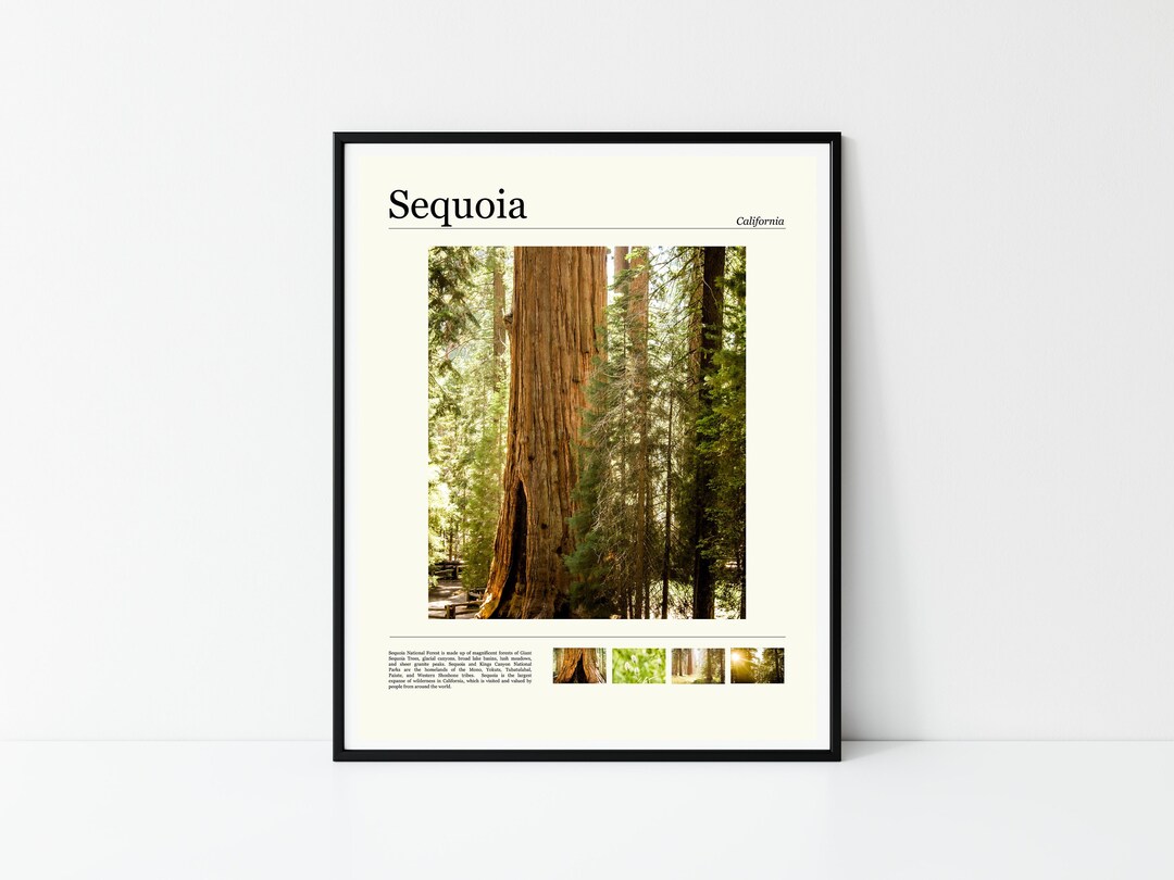 Sequoia National Park Poster, Sequoia Tree Poster, Sequoia Forest Art ...