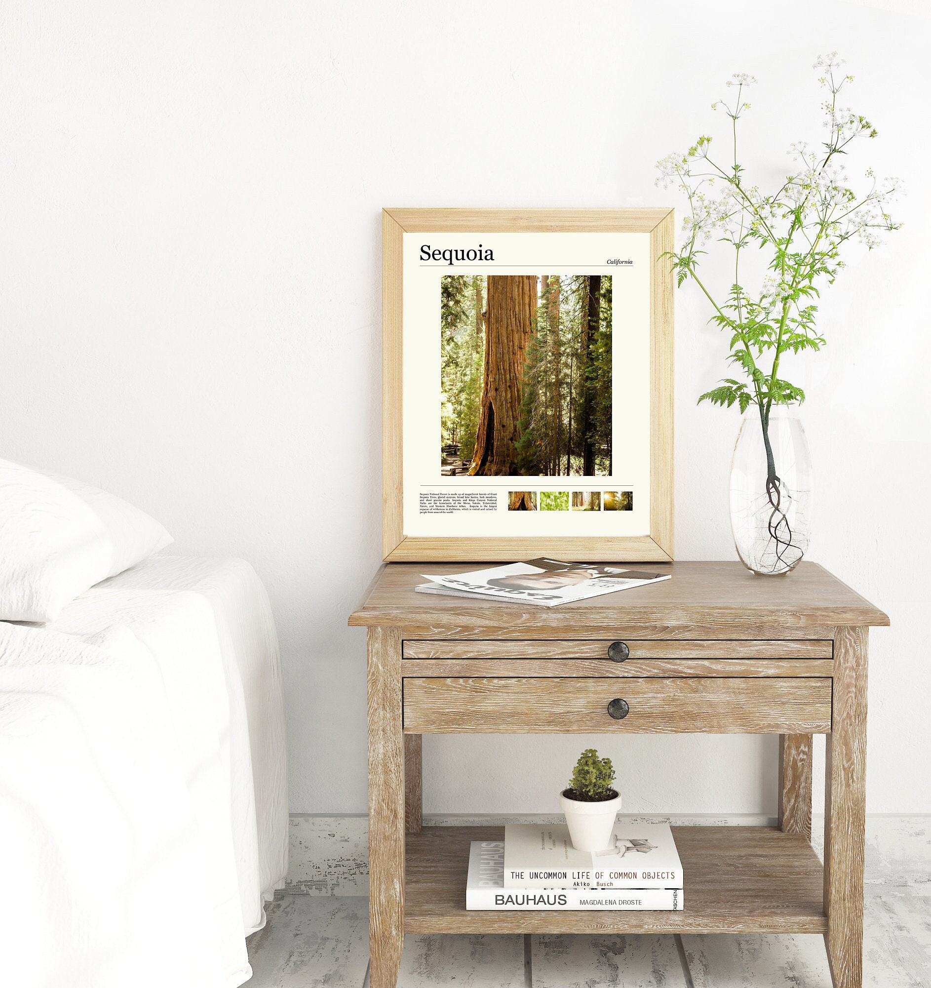 Sequoia National Park Poster Sequoia Tree Poster Sequoia - Etsy