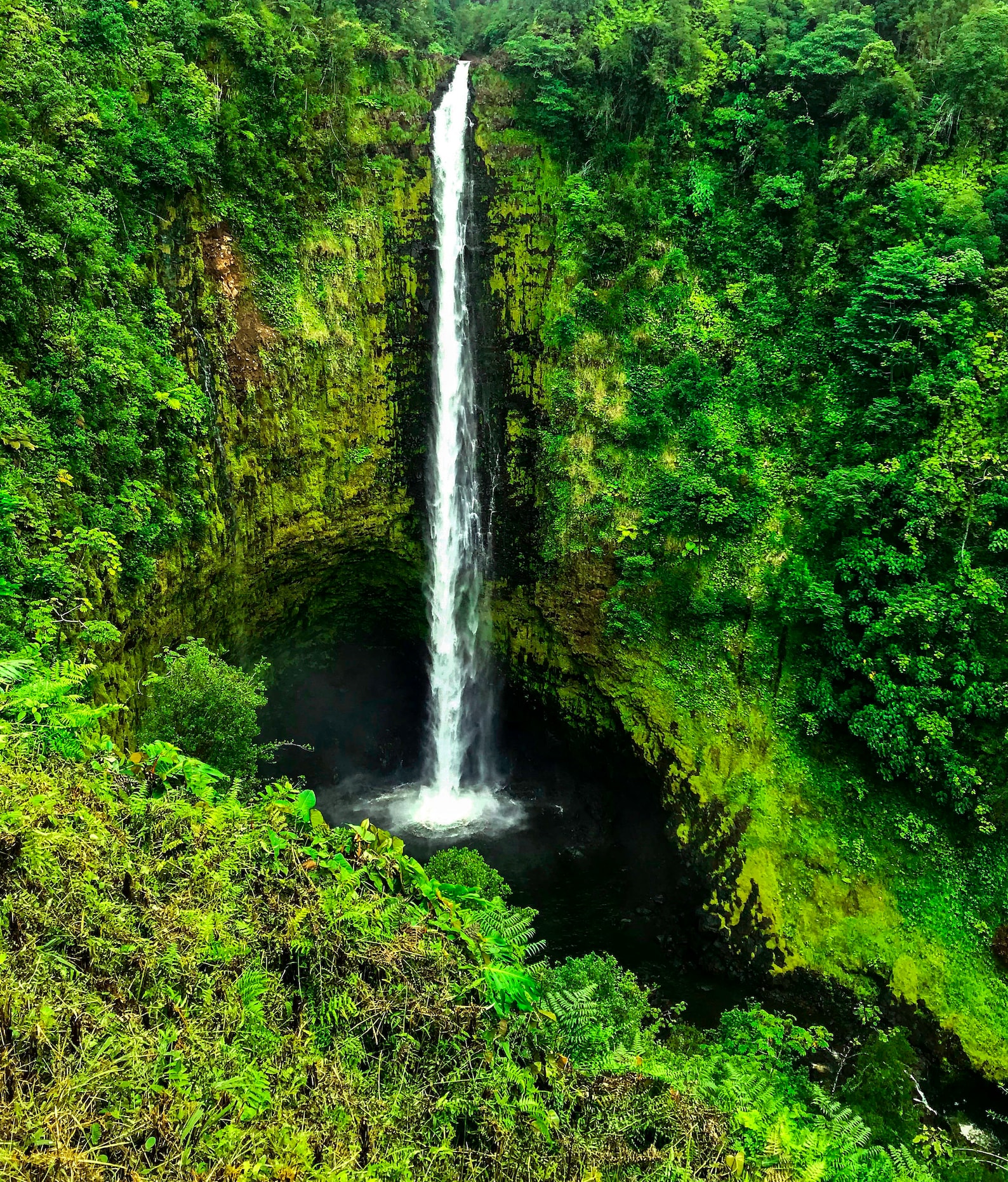 Hawaiian Waterfall Photograph Akaka Falls Print Tropical - Etsy