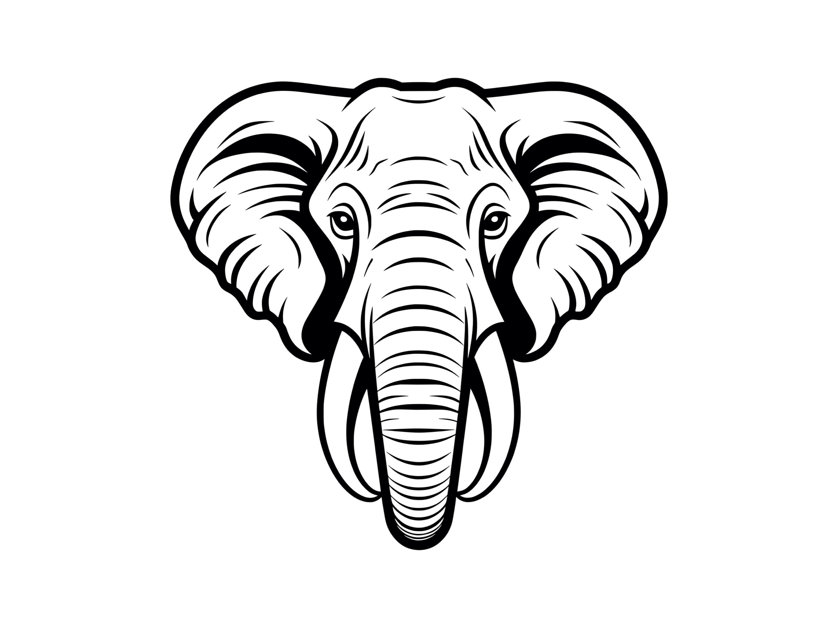 African Elephant Head Drawing