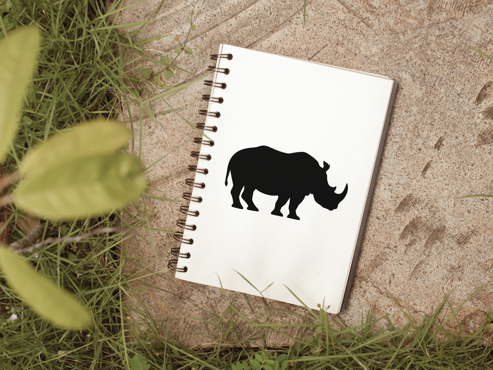 Rhinoceros SVG - Rhino African Safari Animal Silhouette Clip Art Cut ...