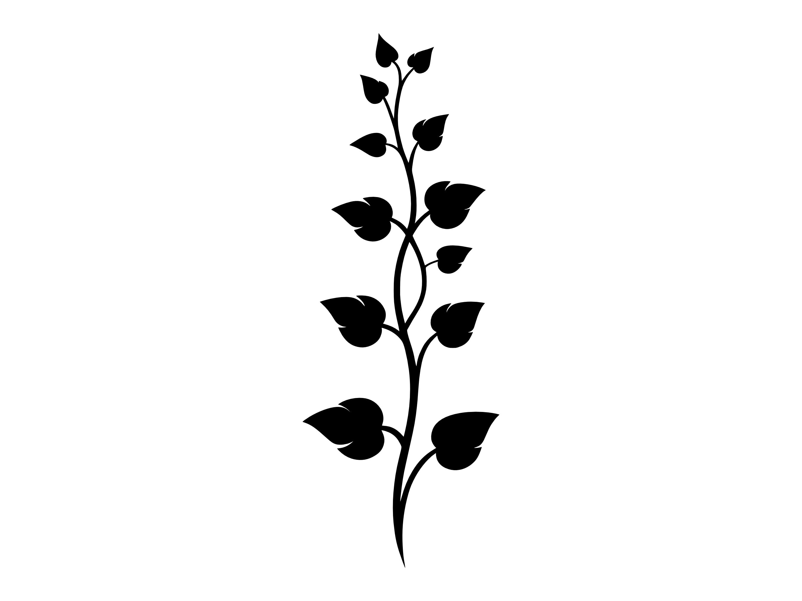 Vine Plant SVG - Ivy Vine Floral Leafy Climbing Plant Silhouette Clip ...